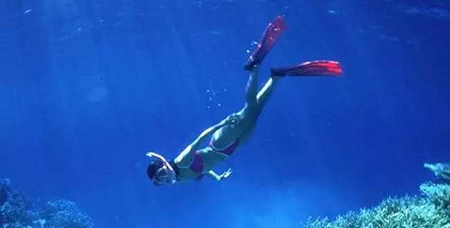 Tahan napas anjeun! Freediving di Acapulco