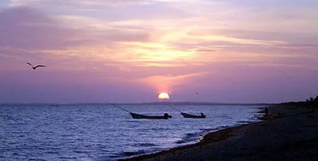 Ábendingar fyrir ferðamenn Sisal (Yucatan) fifu