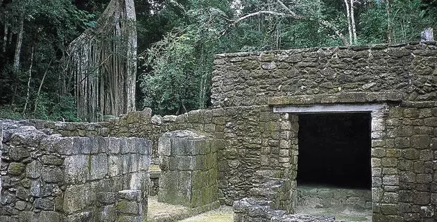 Calakmul Biosphere Reserve