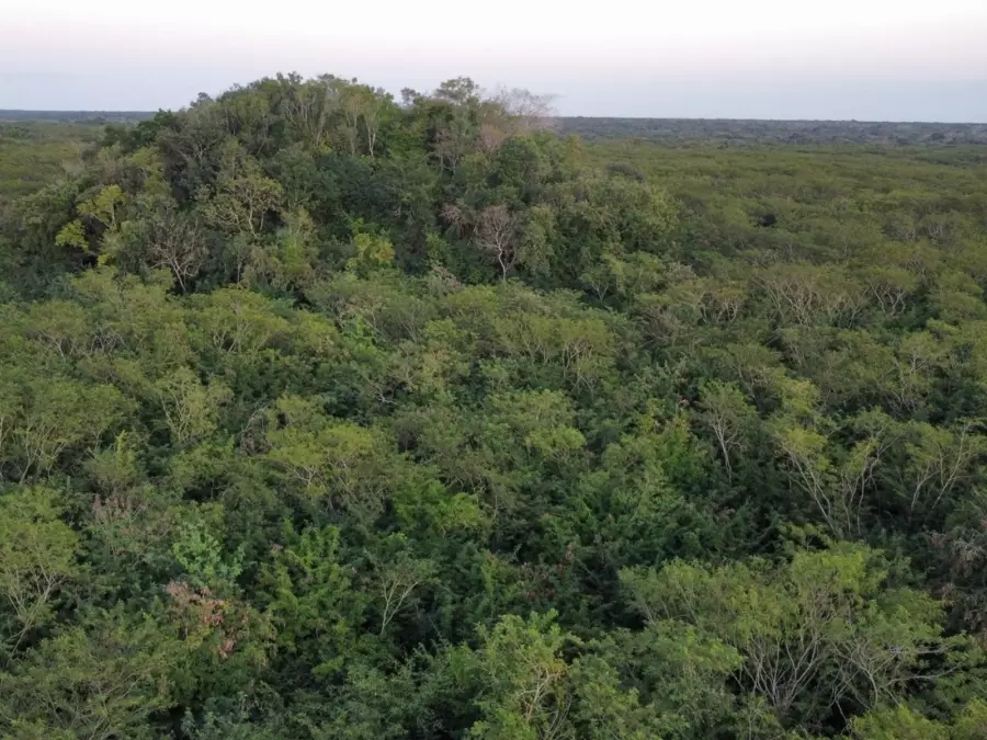 Eksploruesit e Jukatekanit zbulojnë rrënoja, hacienda dhe cenote në xhunglën Mayab 105_8