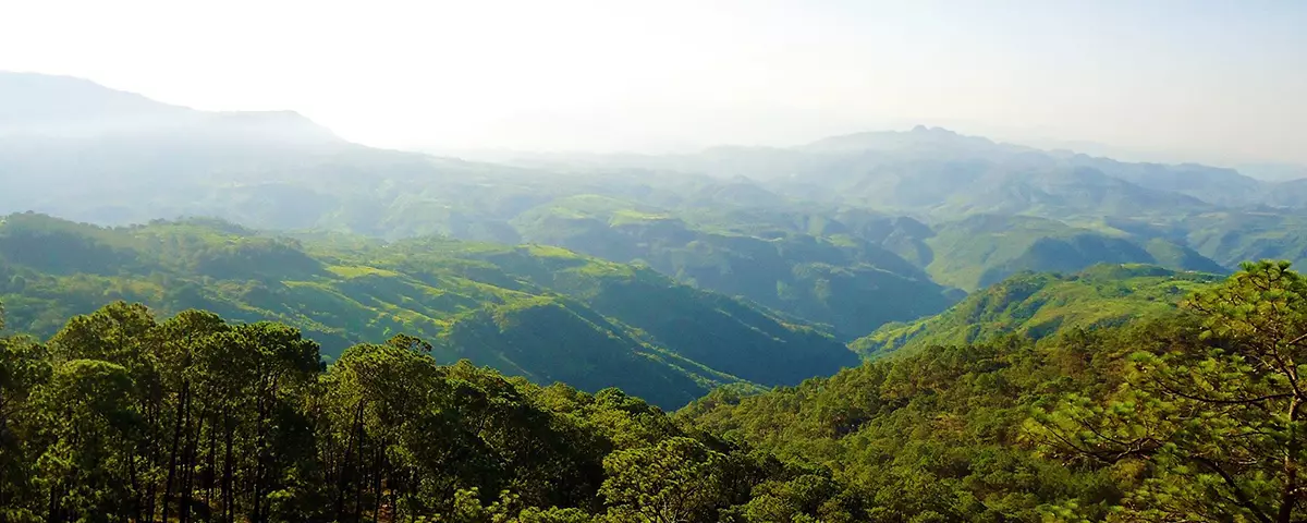 photos-week-landscapes-mist-cotija