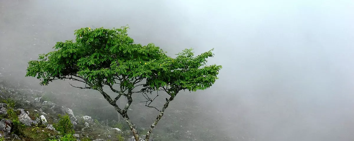 foto's-wike-lânskippen-mist-hidalgo