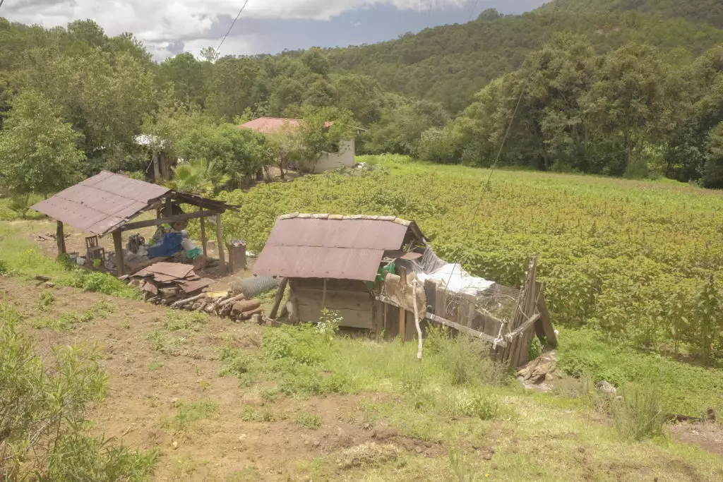 Missió amarant: pont a la salut comunitària a Oaxaca 10828_2