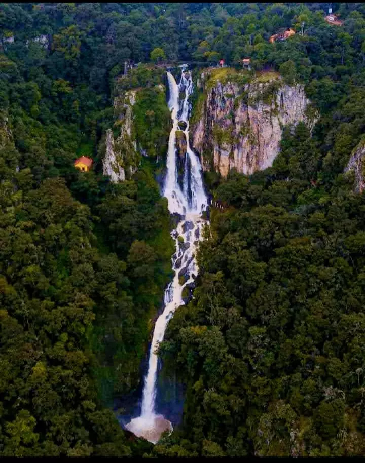 Perjalanan dengan PASE melalui Mexico: antara kabin, air terjun dan taman! 11002_7