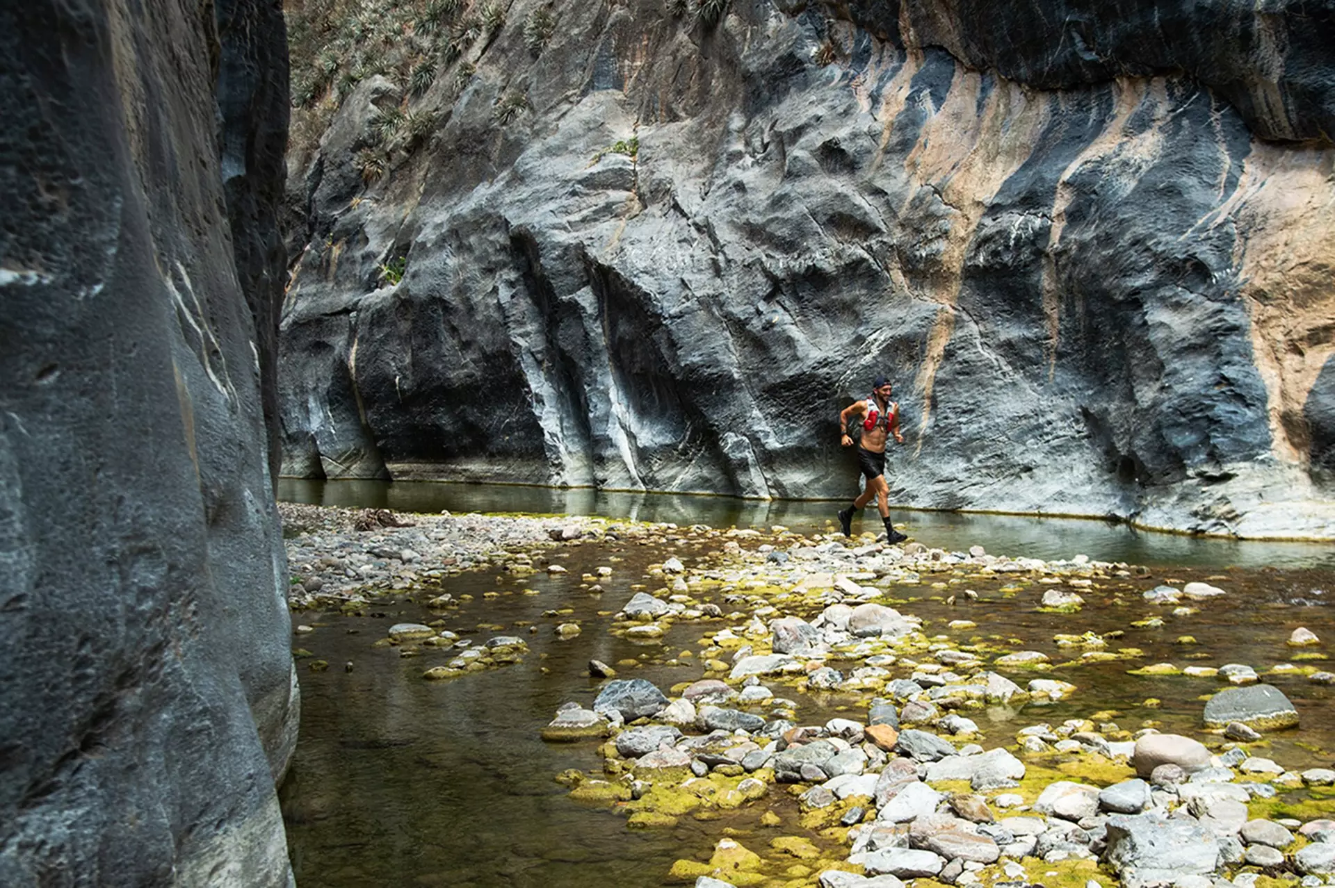 do paraíso