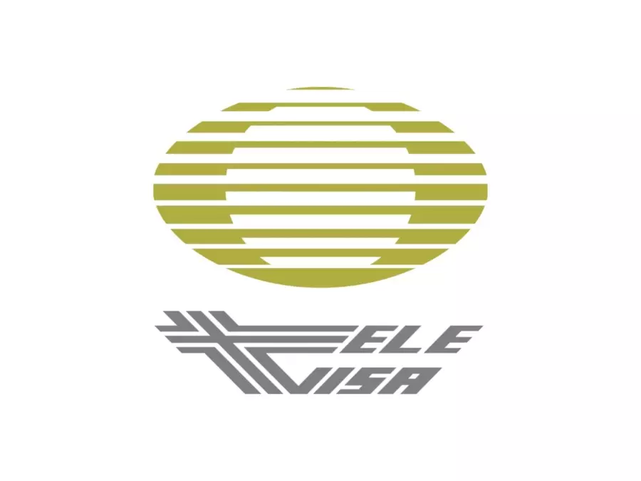 logo telewizora