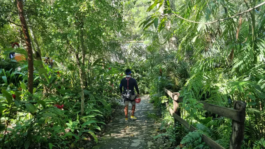 IPuerto Vallarta kuyo yonke intsapho yasehlathini