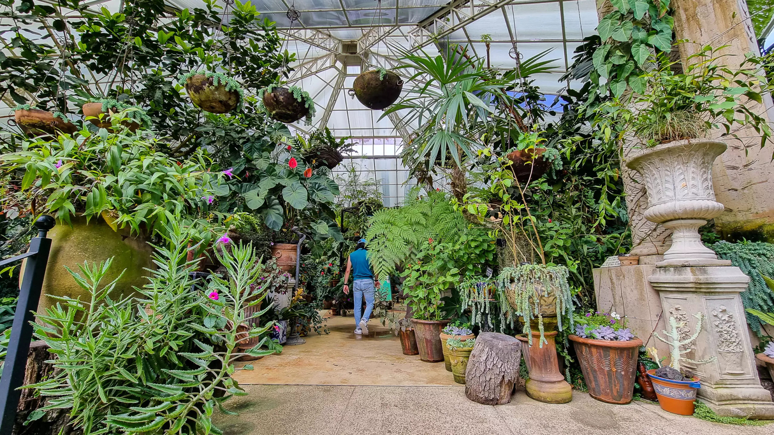 Puerto Vallarta Botaniese Tuin