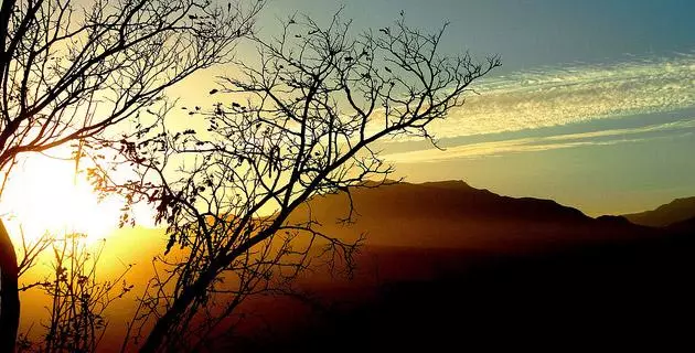 Sierra de la Laguna: ເປັນຄໍາຂວັນຂອງ Darwinian fifu