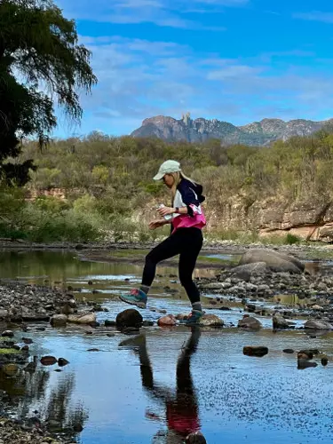 Sierra de Álamos 和 Río Cuchujaqui，索諾蘭多樣性 11178_3