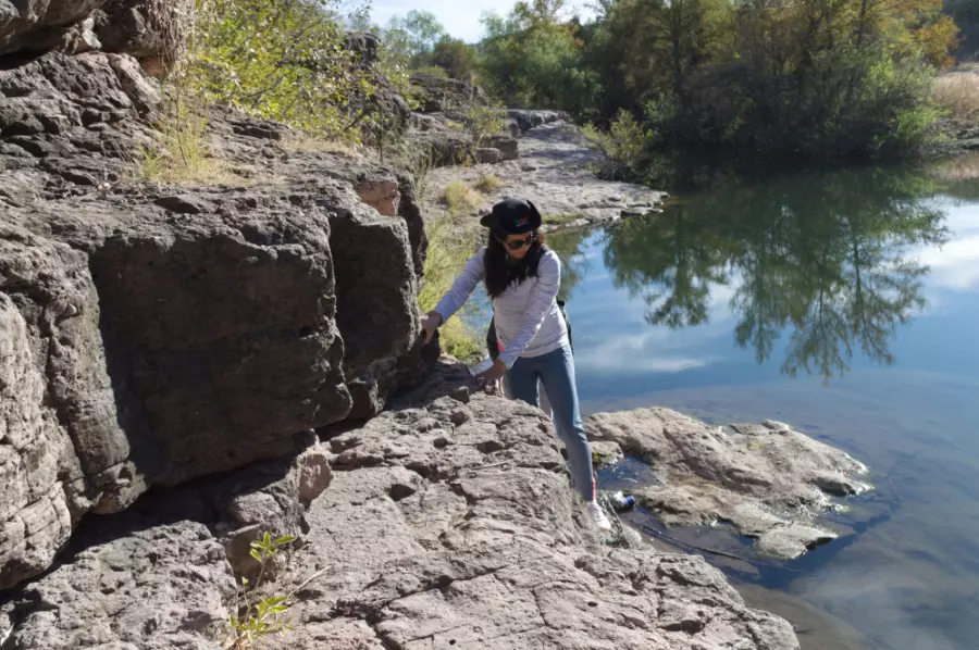 Sierra de alamos 및 Río Cuchujaqui, Sonoran 다양성 11178_4