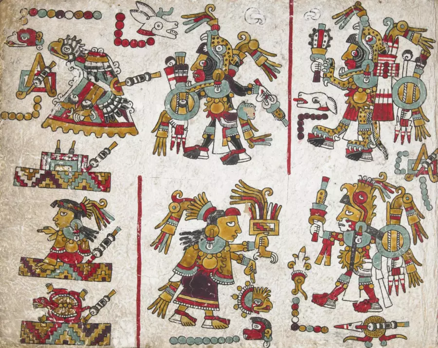 Meksika fiero! Koto-Birdoj ĉe la Brita Muzeo 11267_5