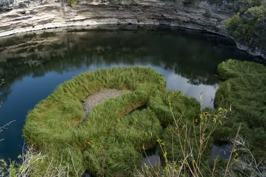 Zacaton ở Aldama, Tamaulipas