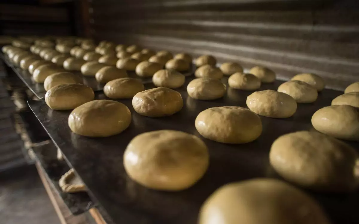 Ambachtelijk brood in een houtoven, een geheim van Zozocolco 11477_12