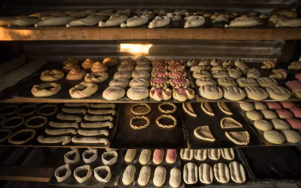 Pão artesanal em forno a lenha, um segredo da Zozocolco 11477_4