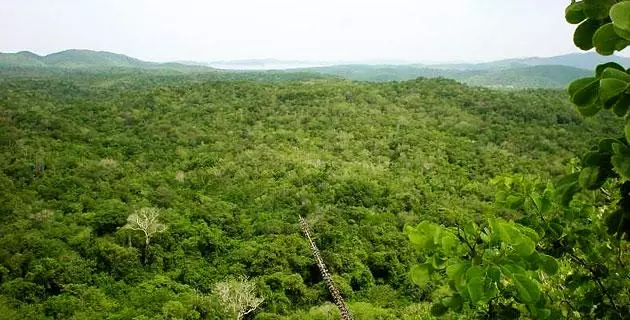 Chamela-Cuixmala. potoloho ea bophelo e makatsang