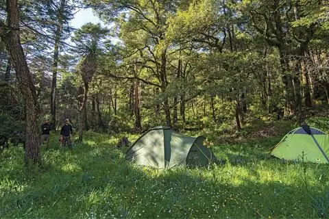 ラ・トリニダードの森のキャンプ、カルソ・ワステコ/ロベルト・ペドラサ・ルイス
