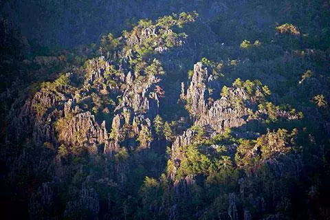 ラ・トリニダードの森の空撮、カルソ・ワステコ/ロベルト・ペドラザ・ルイス
