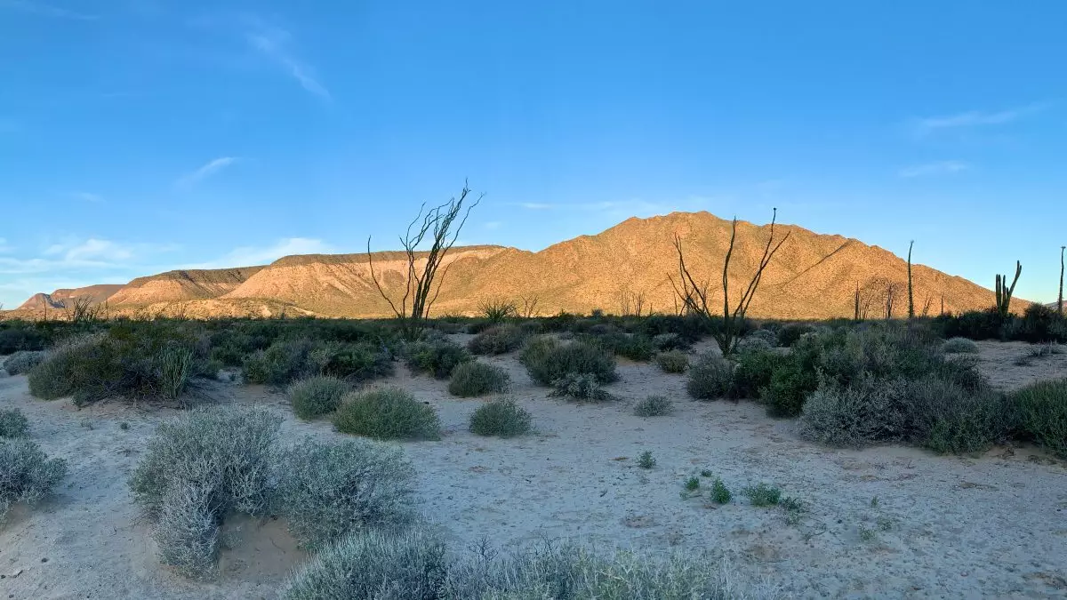 Ovako se živio Costa a Costa trek u pustinji Baja 11577_4