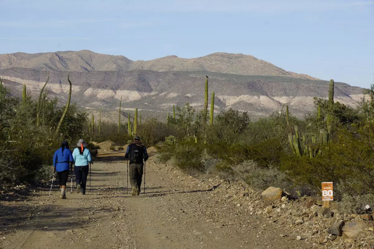 Dëst ass wéi de Costa a Costa Trek an der Baja Wüst gelieft gouf 11577_6