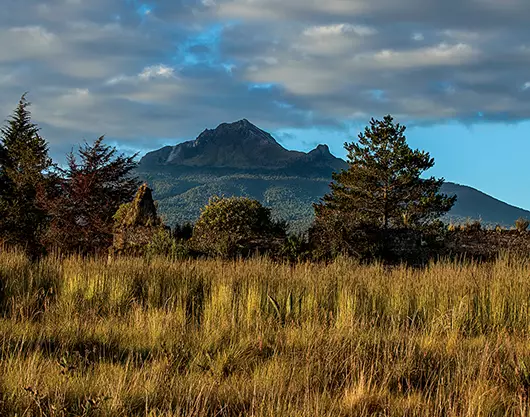 Lintlha tsa motheo ka La Malinche National Park 11731_2