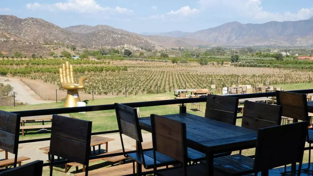 Valle de Guadalupe Bajas: veinid, hotellid, muuseumid ja restoranid 11753_38