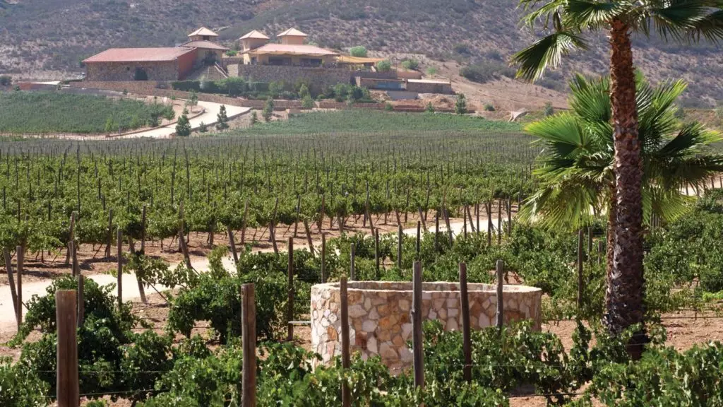 Valle de Guadalupe Bajas: veinid, hotellid, muuseumid ja restoranid 11753_67