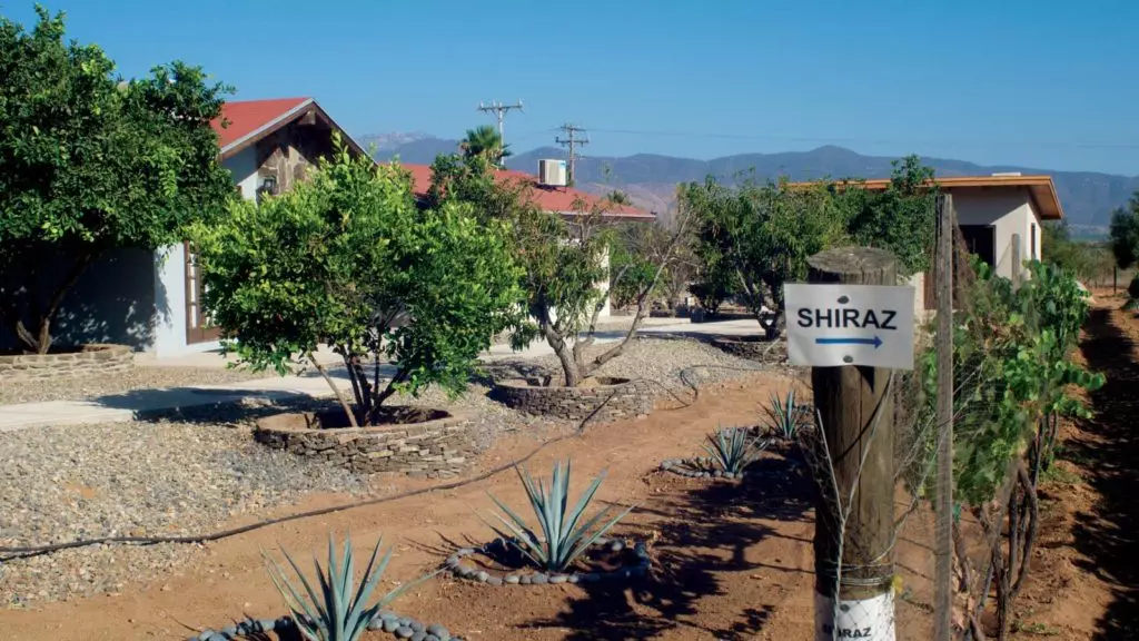 Valle de Guadalupe Bajas: veinid, hotellid, muuseumid ja restoranid 11753_71
