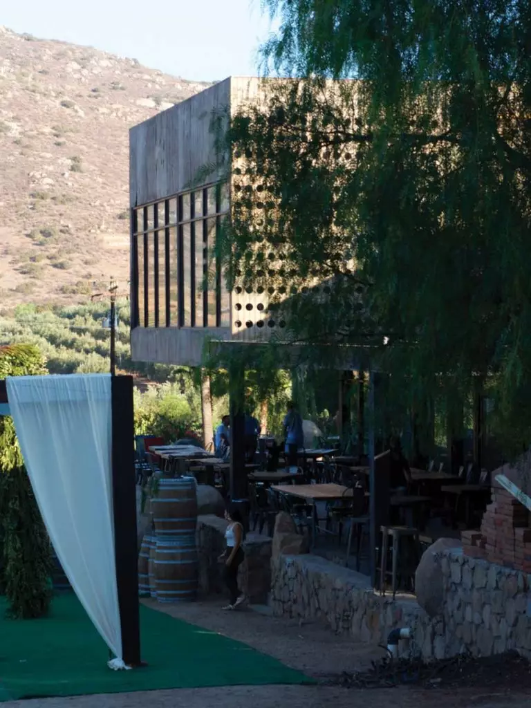 Valle de Guadalupe Bajas: veinid, hotellid, muuseumid ja restoranid 11753_77
