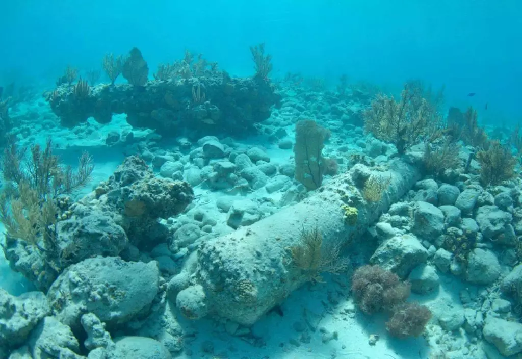 Scoprono relitti ricoperti di coralli a Banco Chinchorro, nei Caraibi messicani 11892_4