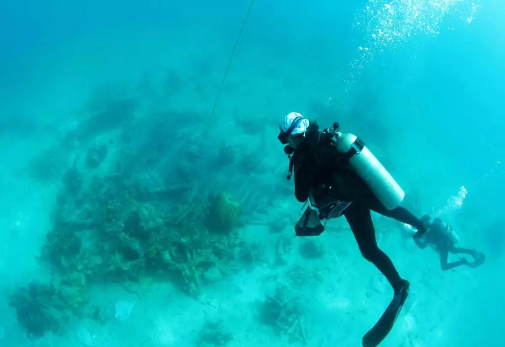 Scoprono relitti ricoperti di coralli a Banco Chinchorro, nei Caraibi messicani 11892_5