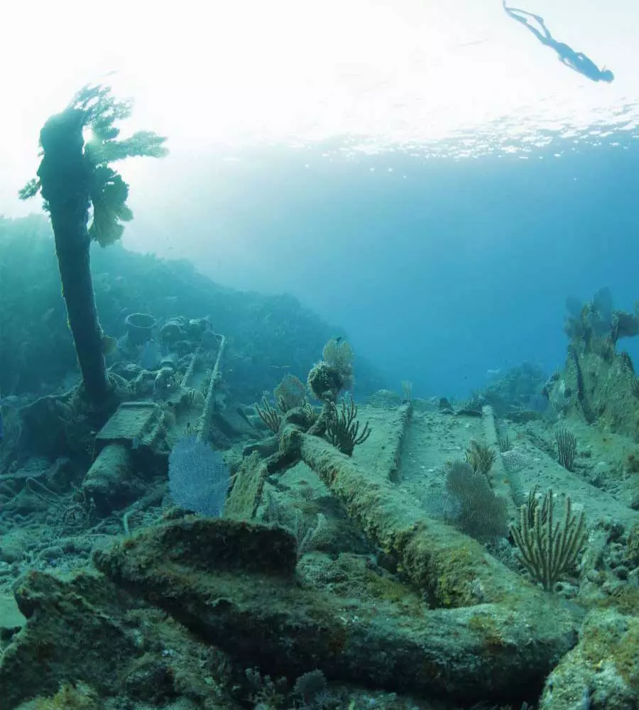 Scoprono relitti ricoperti di coralli a Banco Chinchorro, nei Caraibi messicani 11892_7