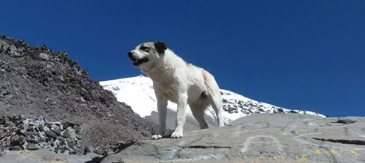 Citla, anjel z Pico de Orizaba fifu