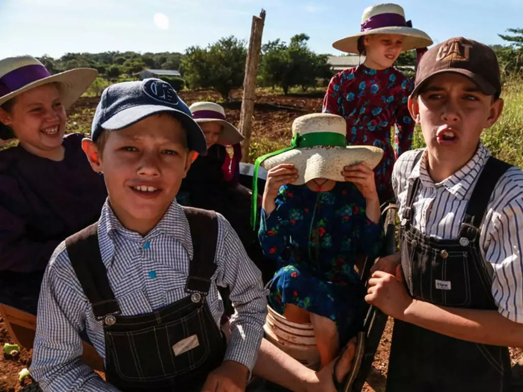 Kampçedäki óalonyň Maýa Mennonitleri 11986_8