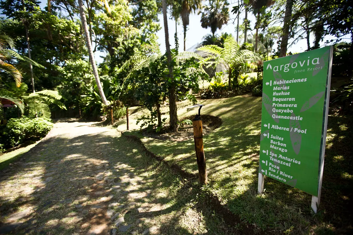 Finca Argovia: una fattoria che ti farà amare ancora di più il caffè 12136_2