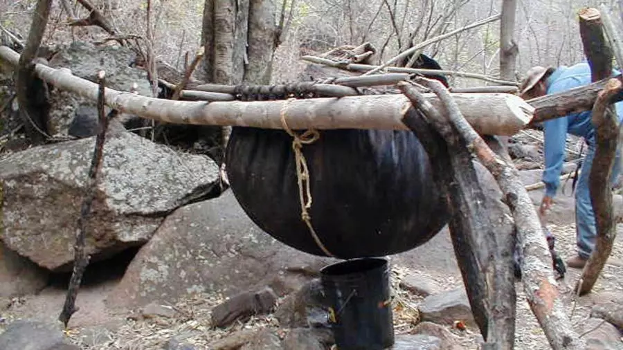 Mezcal è stato distillato nel Messico preispanico, mostrano i risultati della ricerca UNAM 12185_5