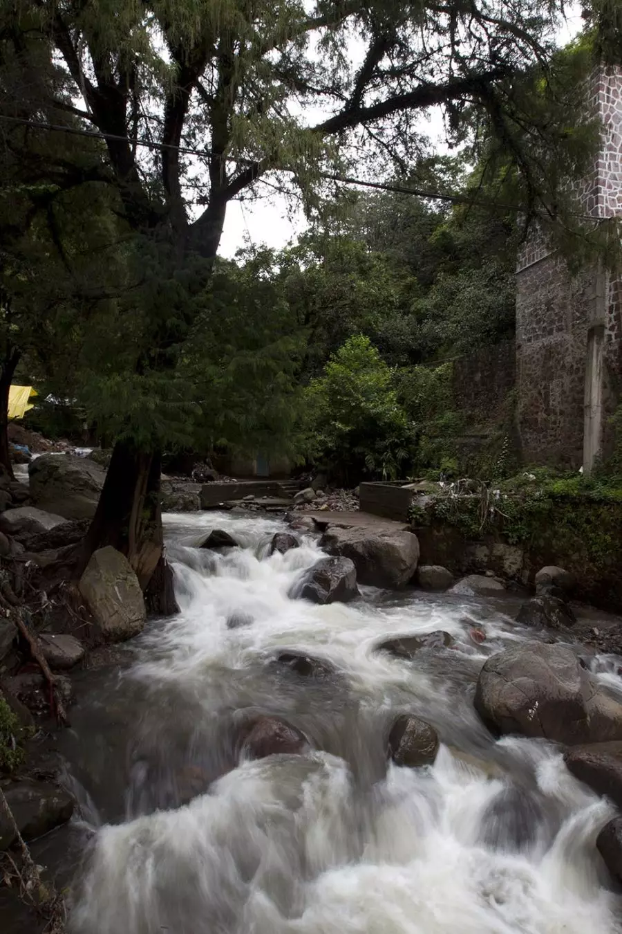 Have you been dancing in Chalma? 12317_7