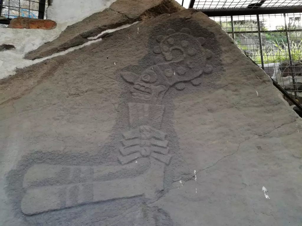 Qhov chaw archaeological ntawm Xochimilco uas tsis muaj leej twg paub 12319_5