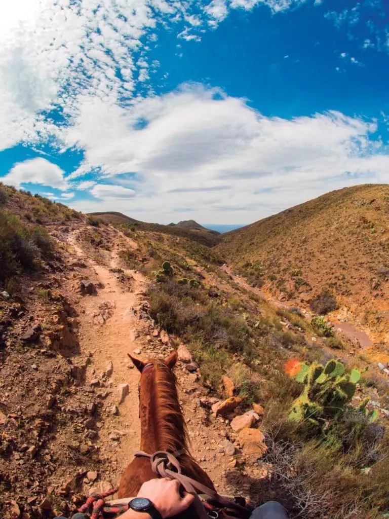 13 haciendas in Mexiko: leef 'n ervaring op volle galop 12534_13