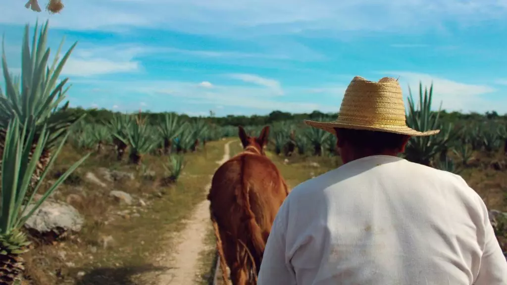 13 haciendas au Mexique : vivez une expérience au galop 12534_15