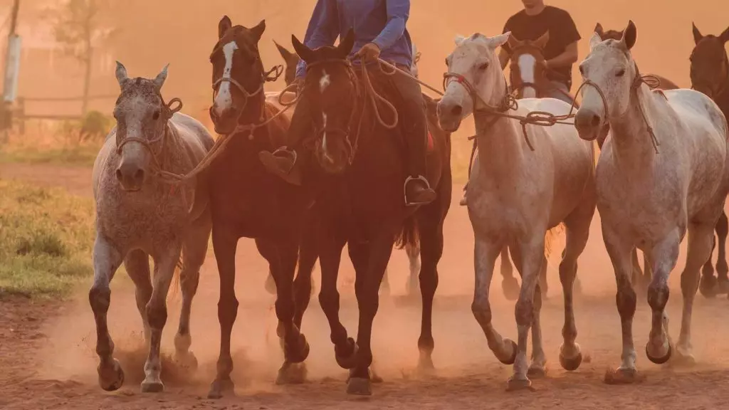 13 haciendas au Mexique : vivez une expérience au galop 12534_7