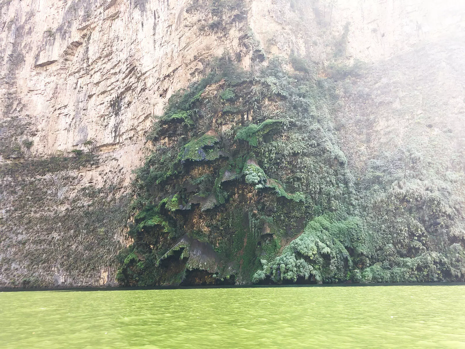 ڪرسمس ٽري آبشار Sumidero Canyon ۾