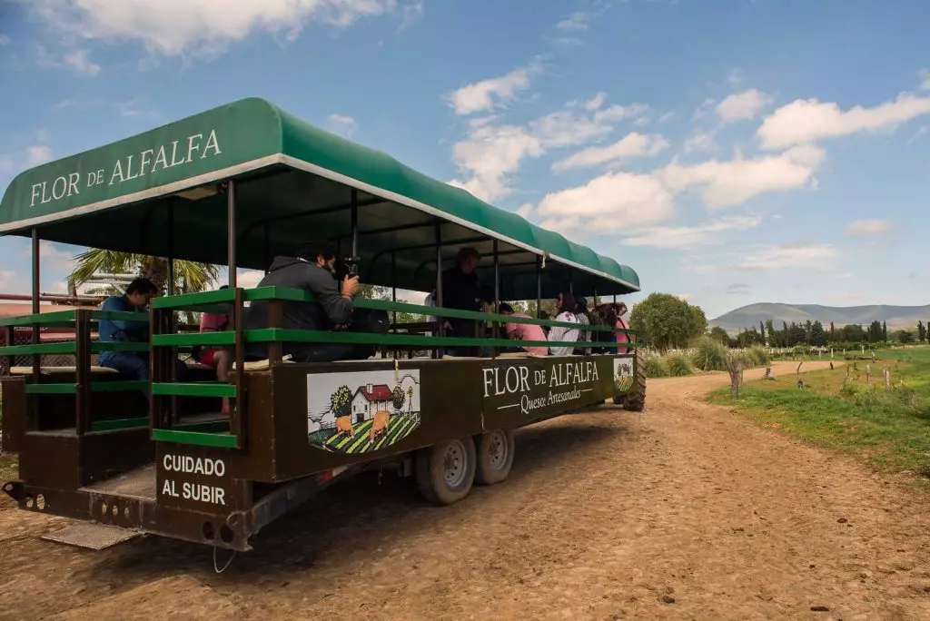 Voninkazo alfalfa, fromazy artisanal