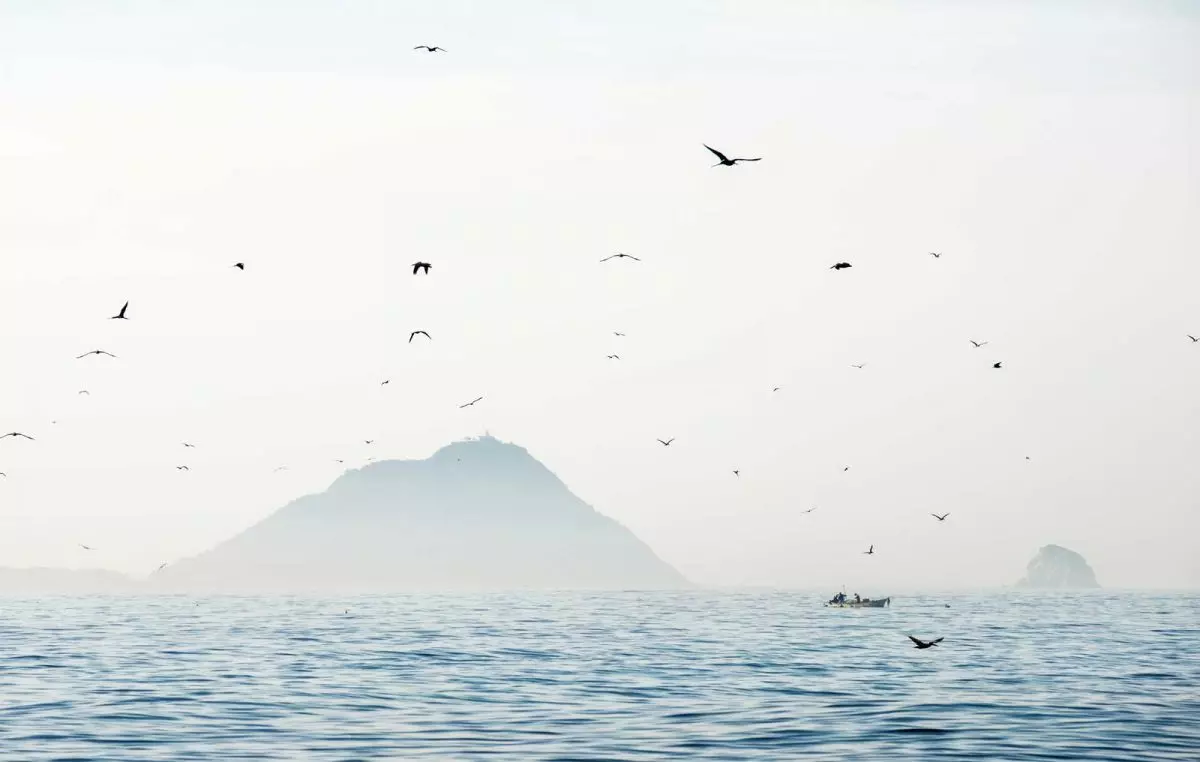 Fishermen-and-seagulls-Landscape-