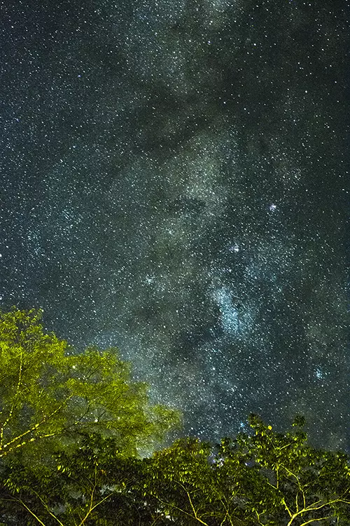 Berjuta-juta bintang, Selva Lacandona.