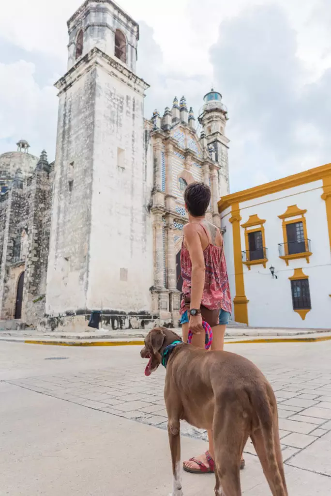 Thân thiện với vật nuôi: chân chó ở Campeche 12976_3