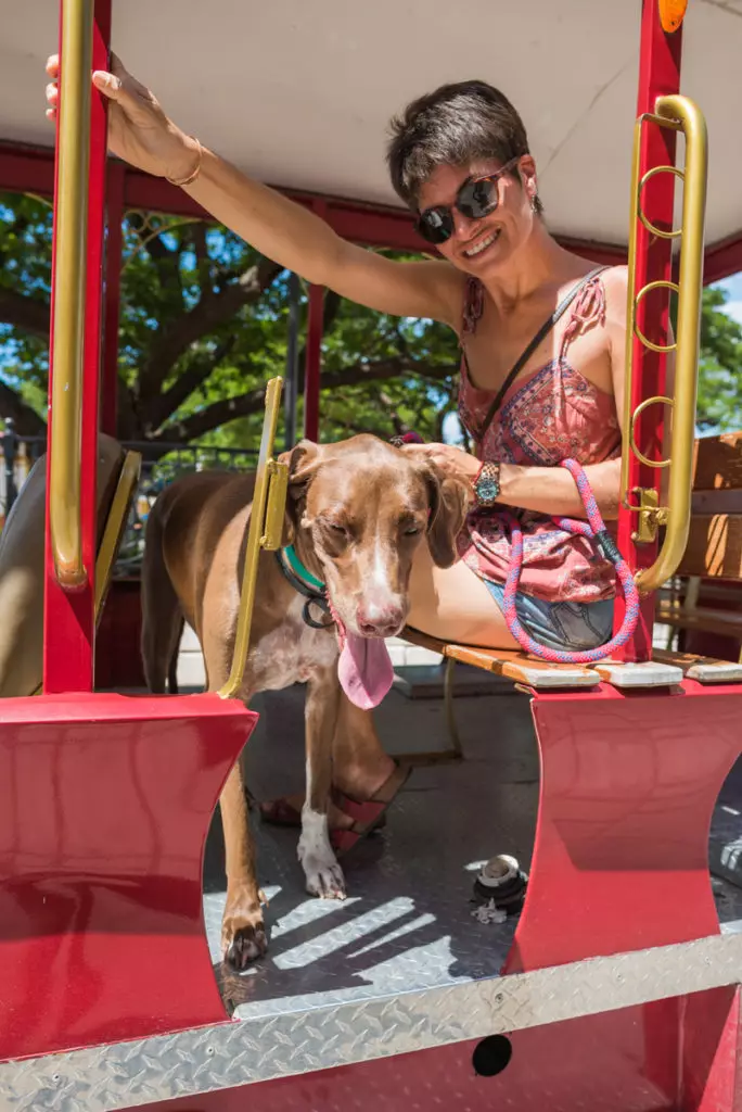 Φιλικό προς τα κατοικίδια: πόδι σκύλου στο Campeche 12976_5