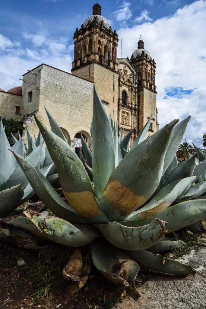 Prehliadka srdca hlavného mesta Oaxacan, jedného z dejísk Carrera Panamericana 12980_5