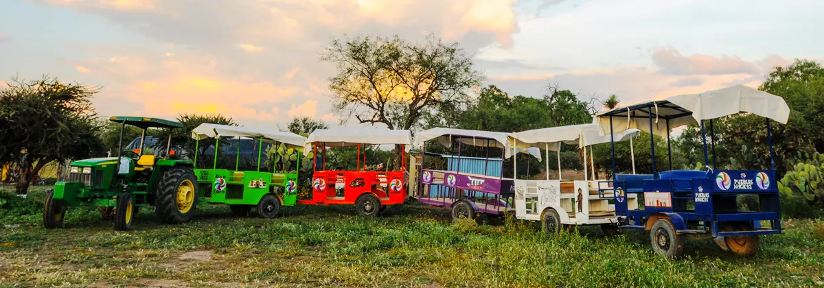 aguascaliente_pueblo_magico_real_seats_train_piojito_sb