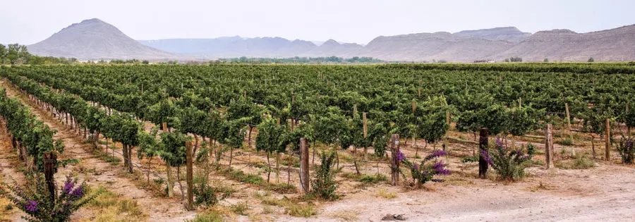 Parras de la Fuente, Coahuila: mga atraksyon at lugar ng turista 13180_8